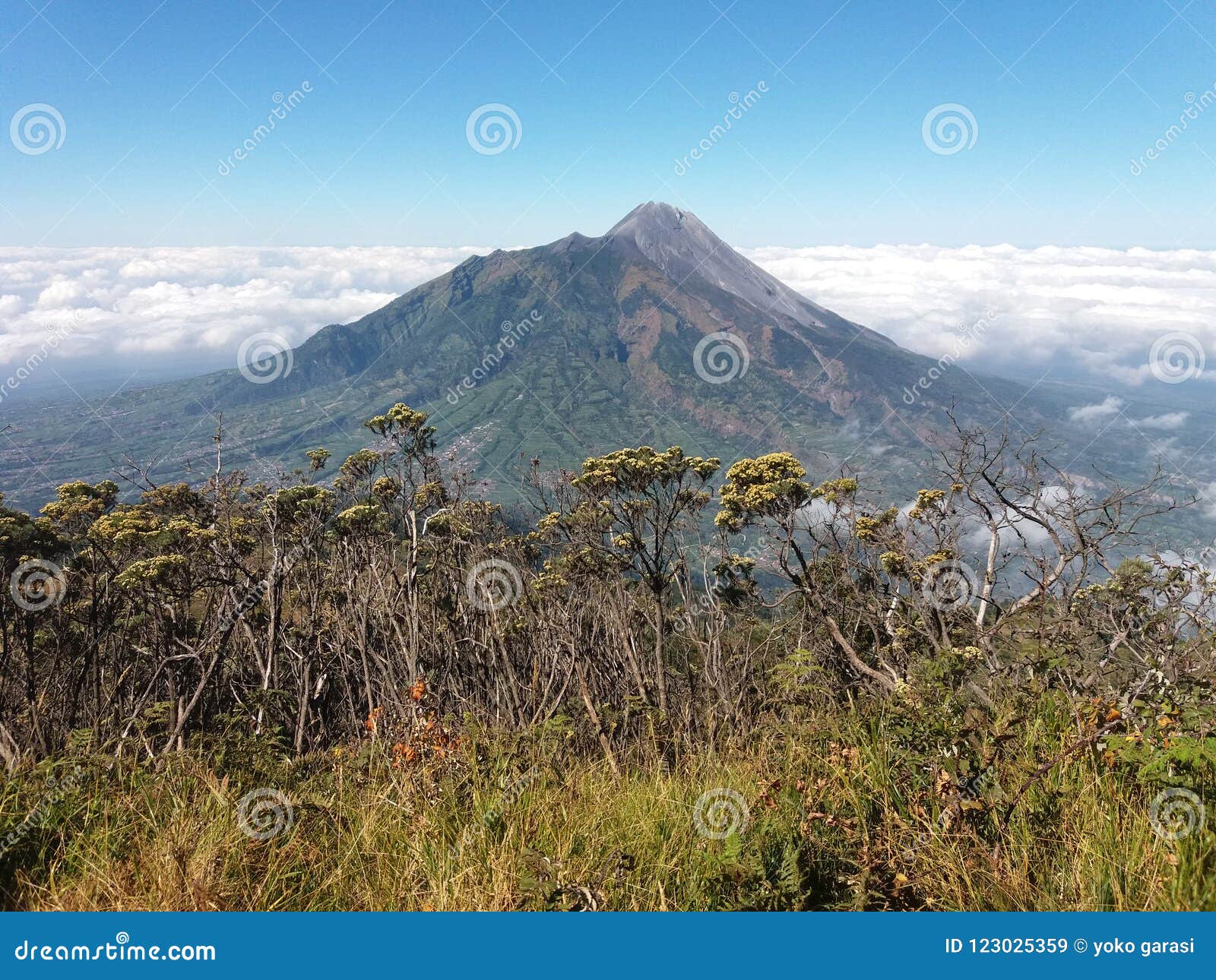 Wedhus Stock Photos - Free & Royalty-Free Stock Photos from Dreamstime