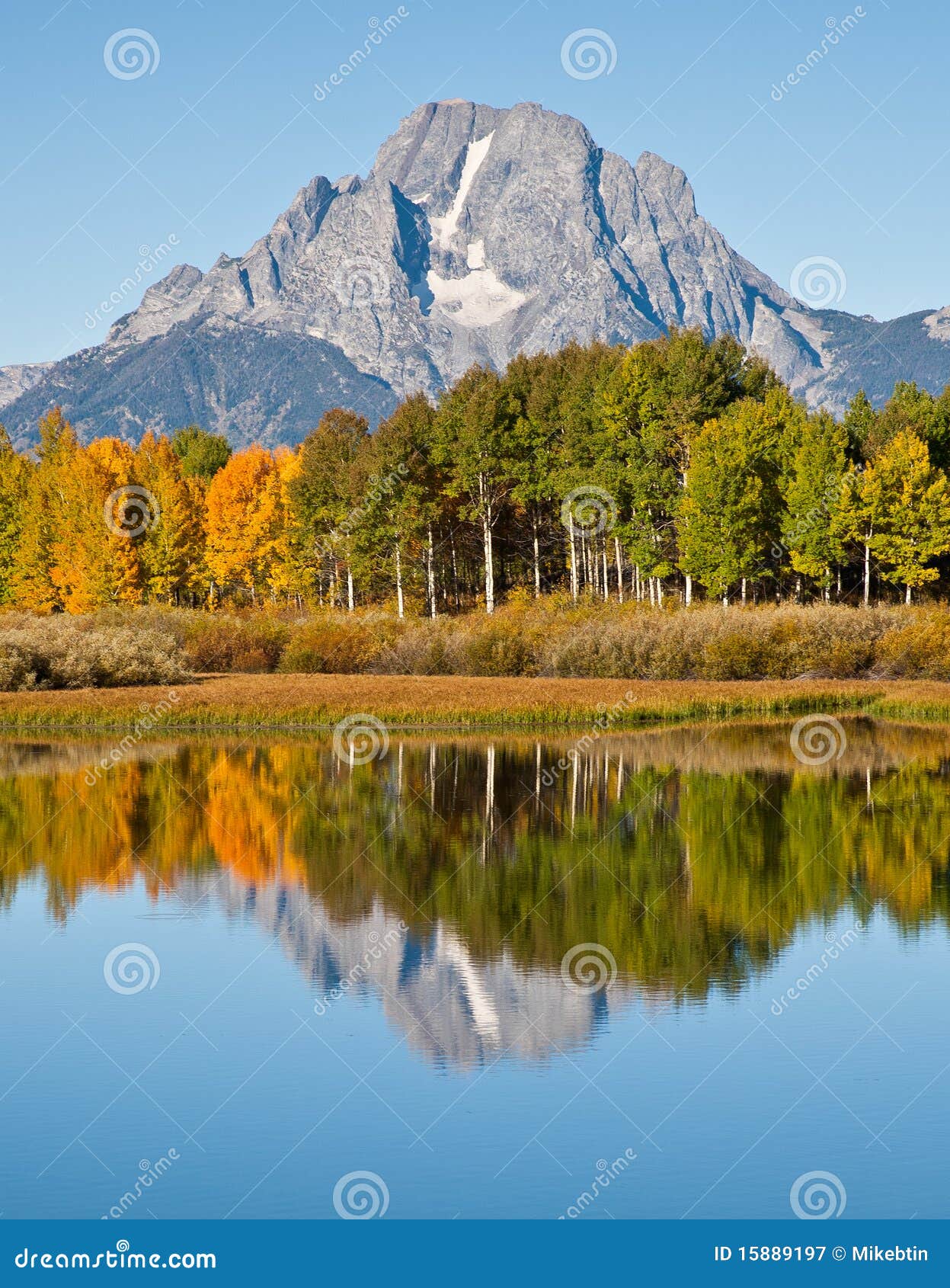 Mt. Moran Reflection at Oxbow Bend Stock Image - Image of water ...
