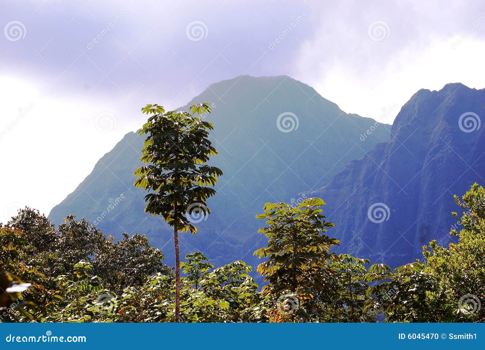 Mt. pali stock photo. Image of tropical, landscapes, isolated - 6045470