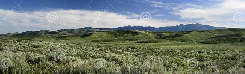 Mt Putnam stock photo. Image of meadow, idaho, grass - 10356230