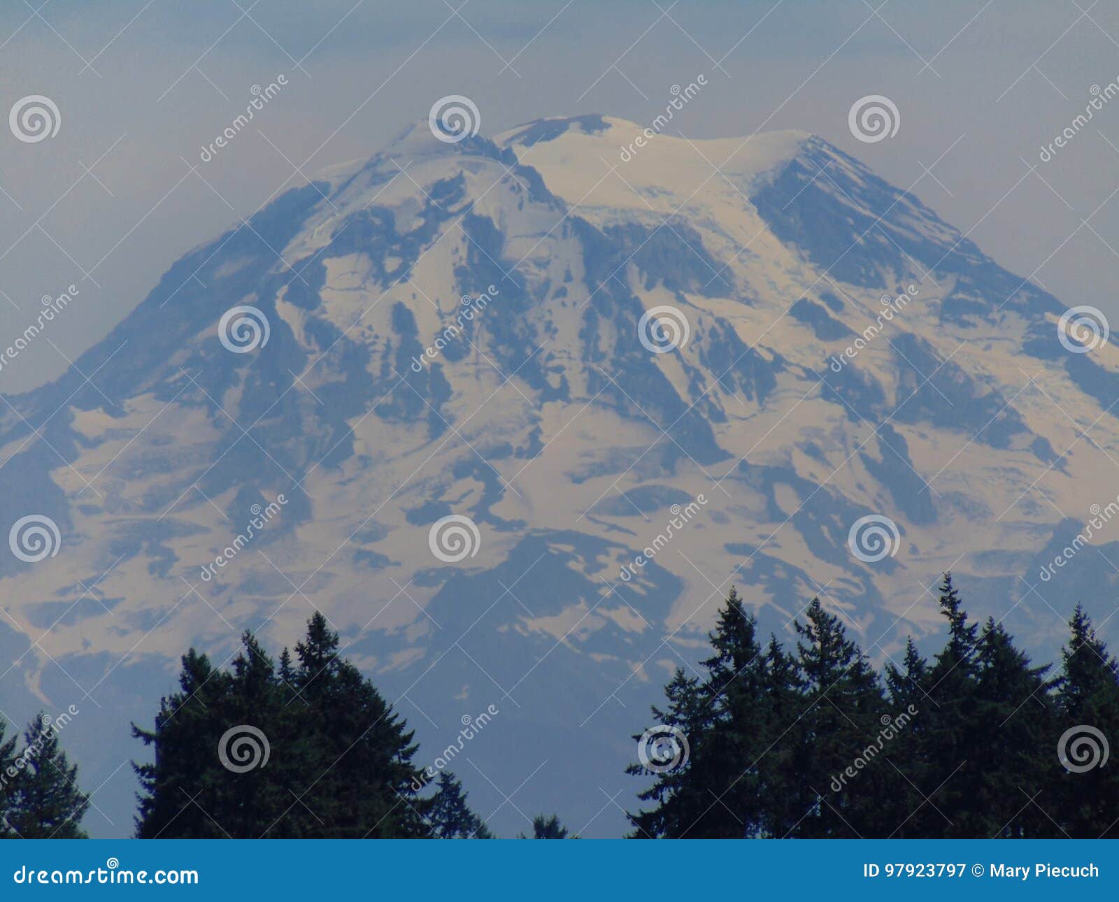 Mt Rainier stock image. Image of trees, scene, peak, rainier - 97923797