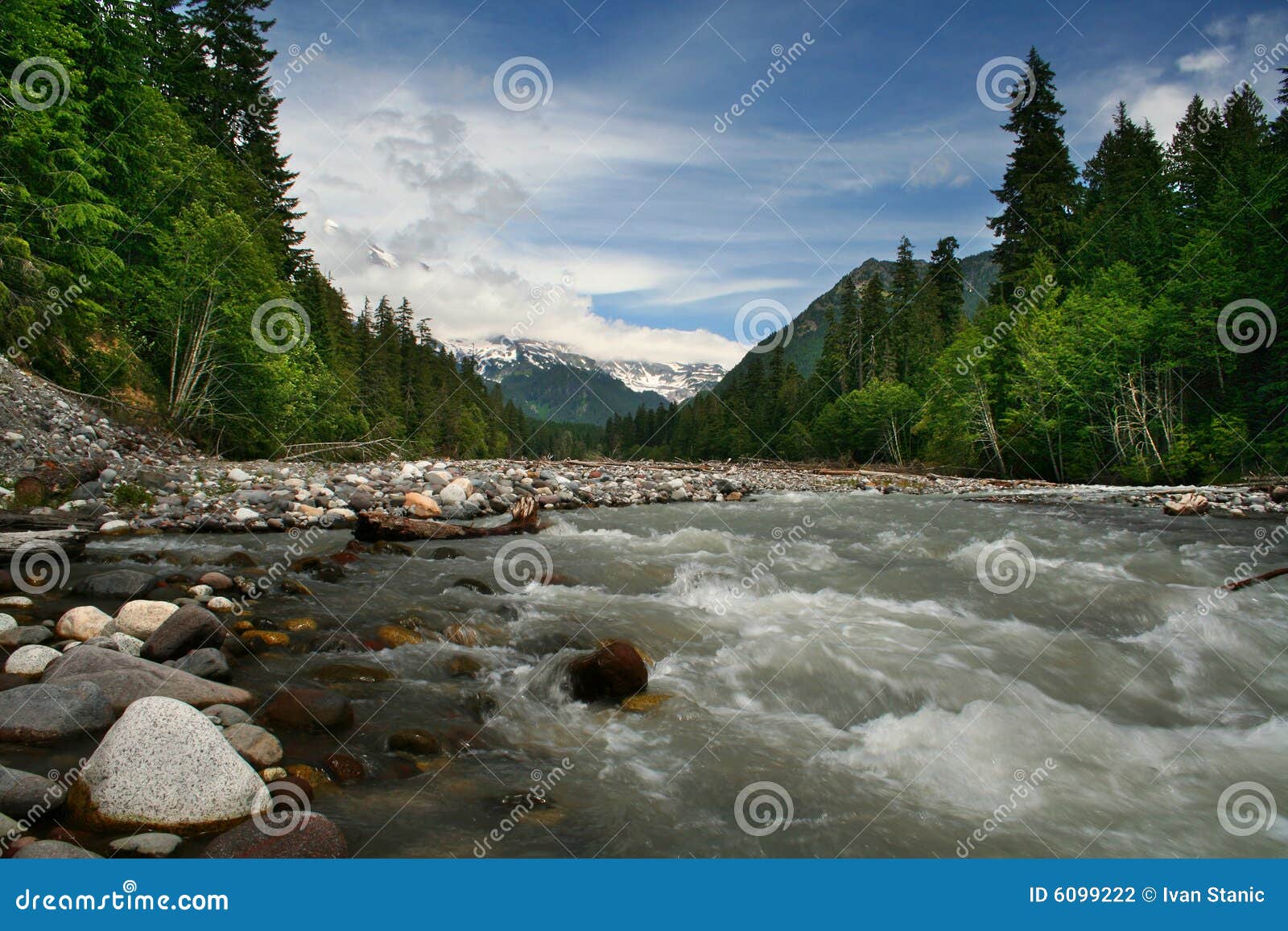 Mt. Rainier National Park stock photo. Image of stream - 6099222