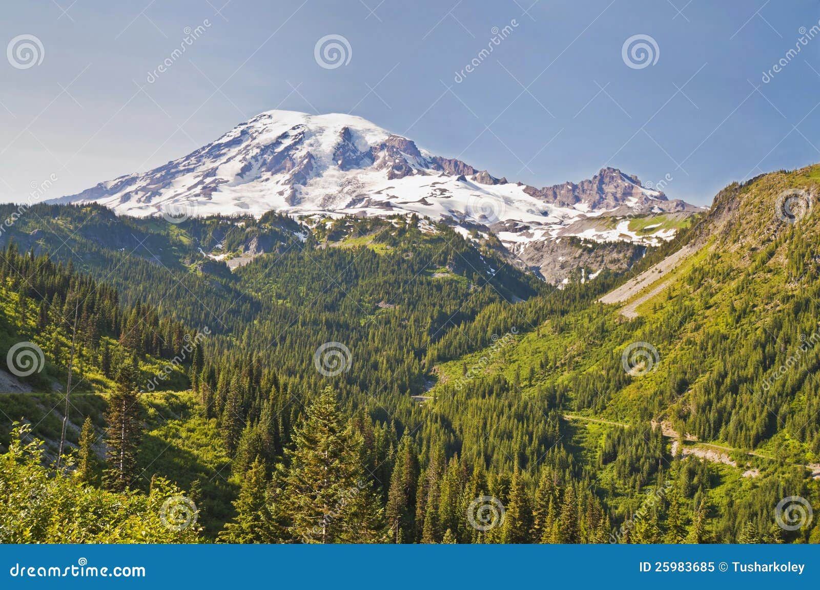 The Mt Rainier Valley stock image. Image of formation - 25983685
