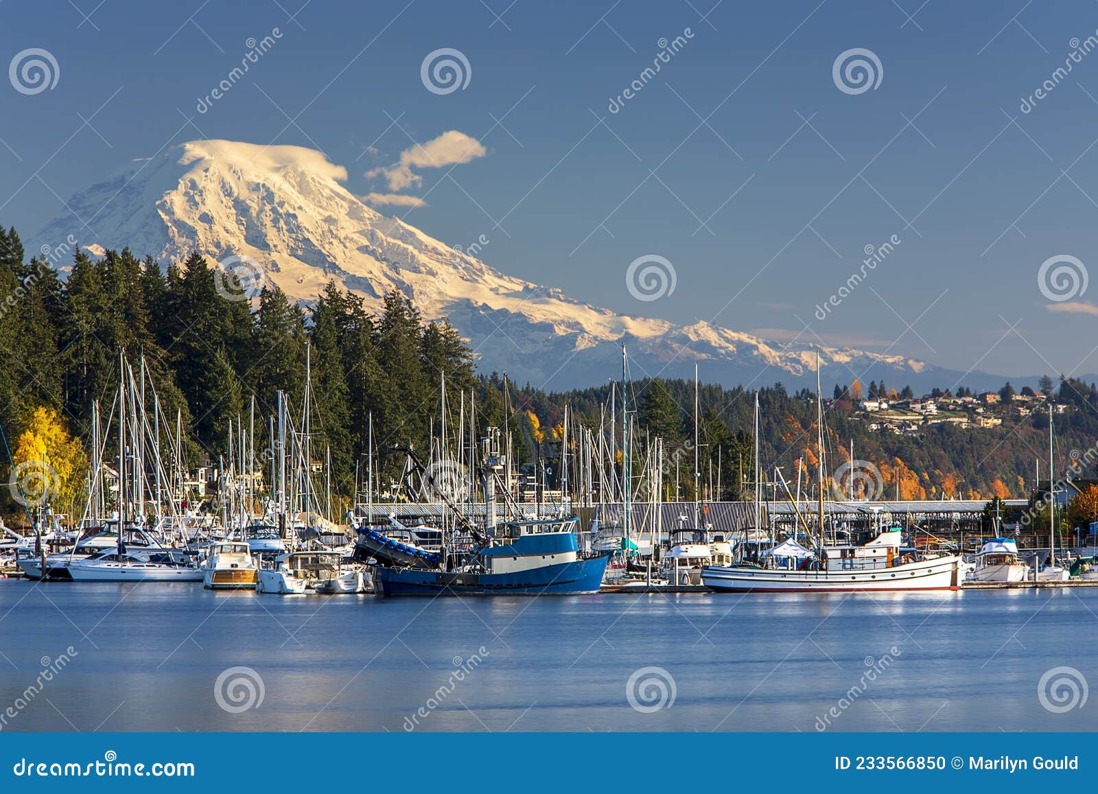 Mt.Rainier Viewed from Gig Harbor Stock Photo - Image of pugetsound ...