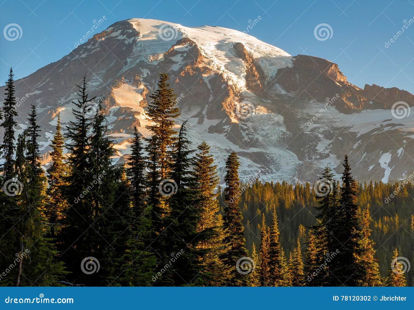 Mt. Rainier, Washington State Stock Photo - Image of bathed, cascades ...