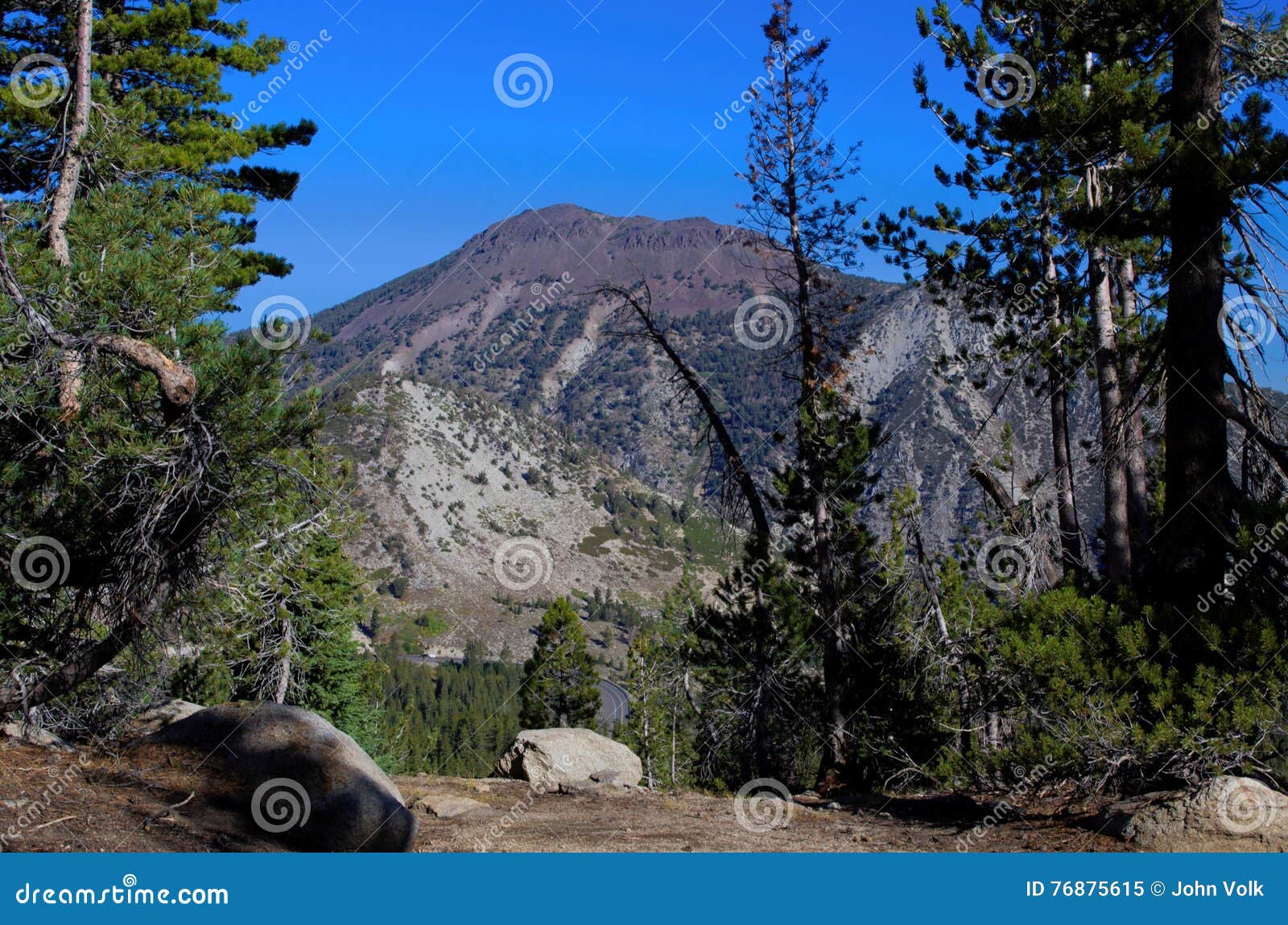 Mt Rose NV stock image. Image of grass, ponderosa, reno - 76875615