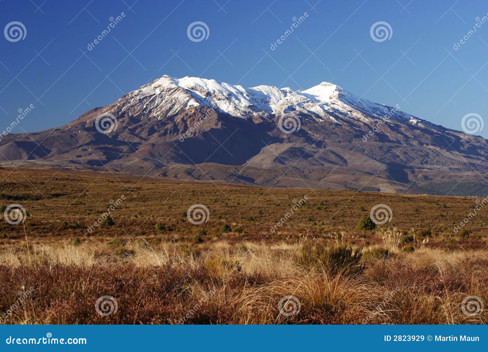 Mt Ruapehu stock image. Image of evening, park, snowcapped - 2823929