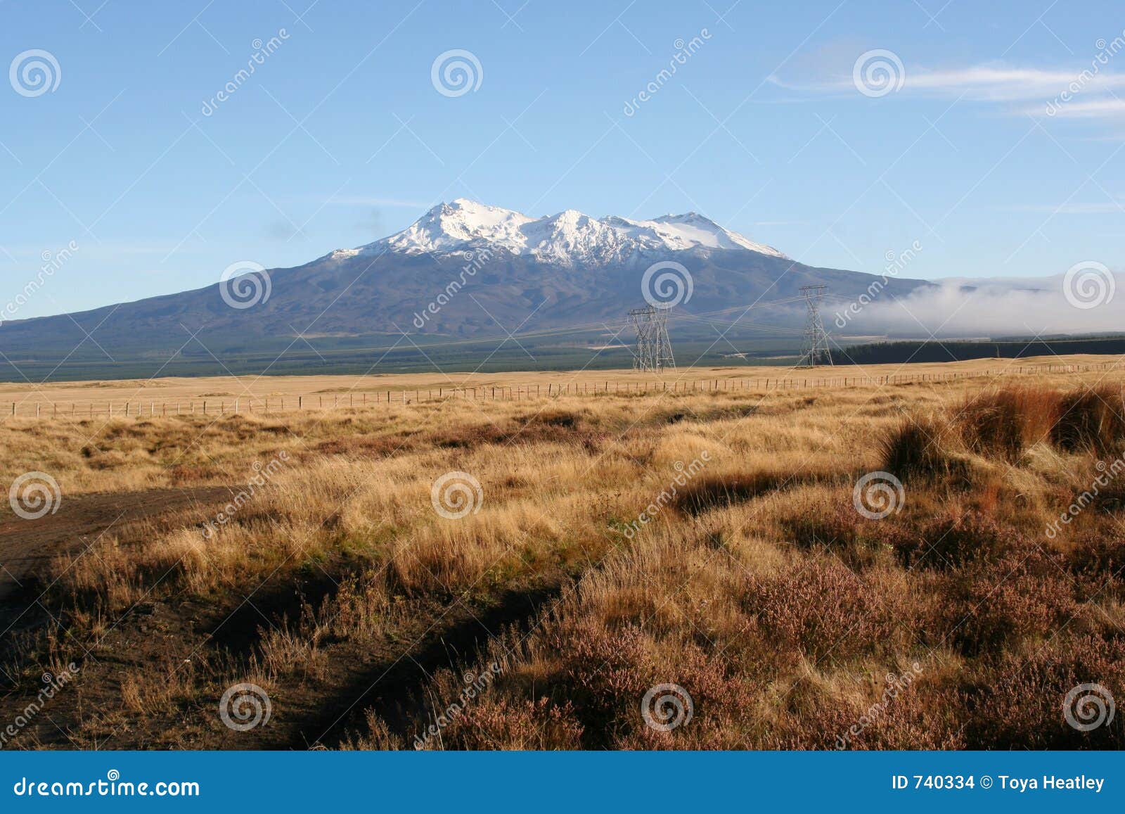 Mt Ruapehu stock photo. Image of nature, grass, skifield - 740334
