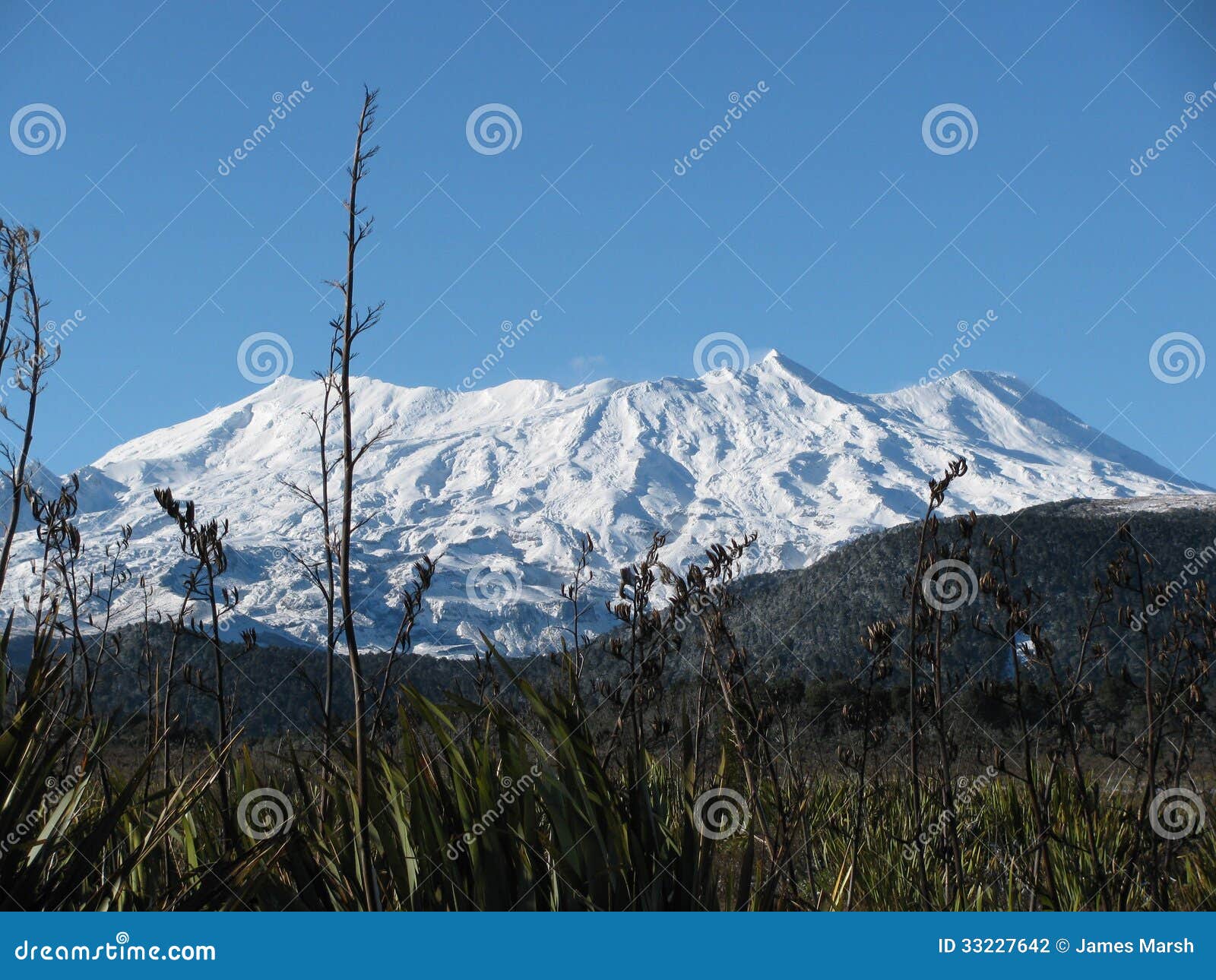 Mt. Ruapehu stock photo. Image of national, summits, park - 33227642