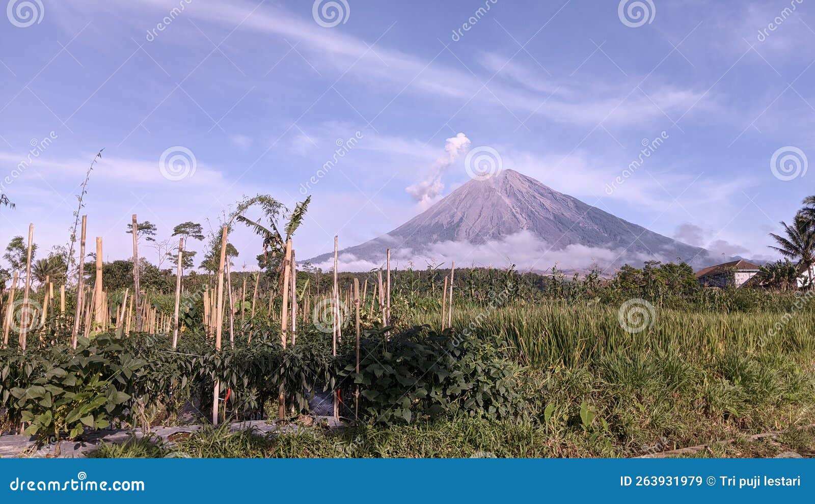 Mt. Semeru stock image. Image of mountain, 3760mdpl - 263931979
