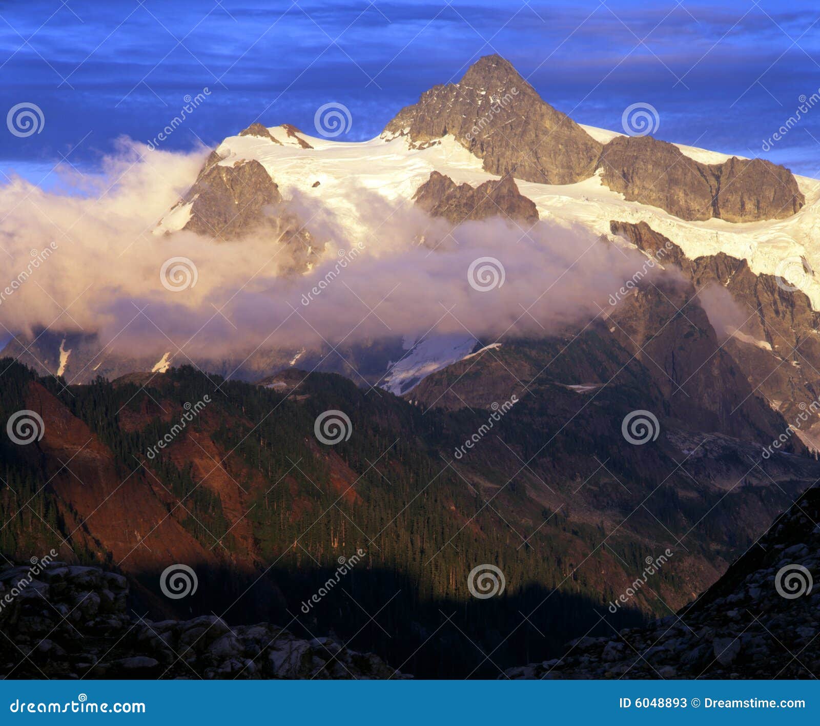 Mt Shuksan 6 stock image. Image of conifer, forest, evening - 6048893