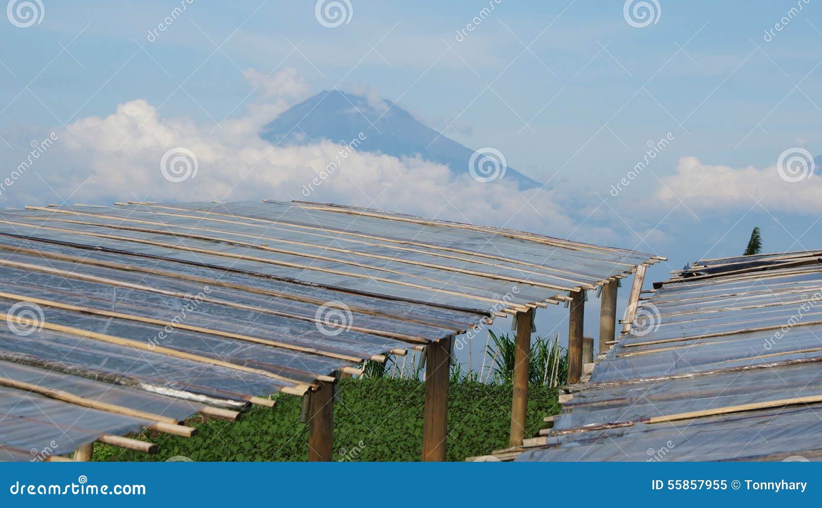 Mt SUMBING stock image. Image of nature, merbabu, volcano - 55857955
