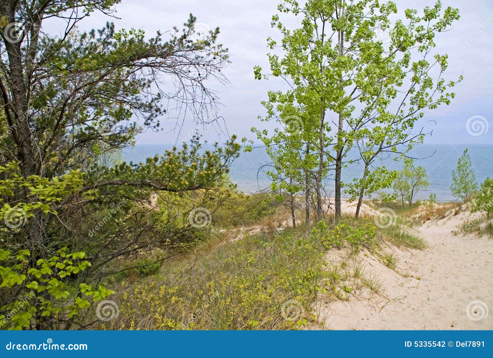 Mt. Tom stock photo. Image of overlooking, michigan, park - 5335542