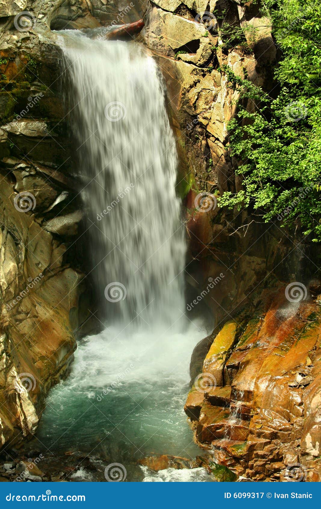 Mt. Un Parque Nacional Más Lluvioso Imagen de archivo - Imagen de ...