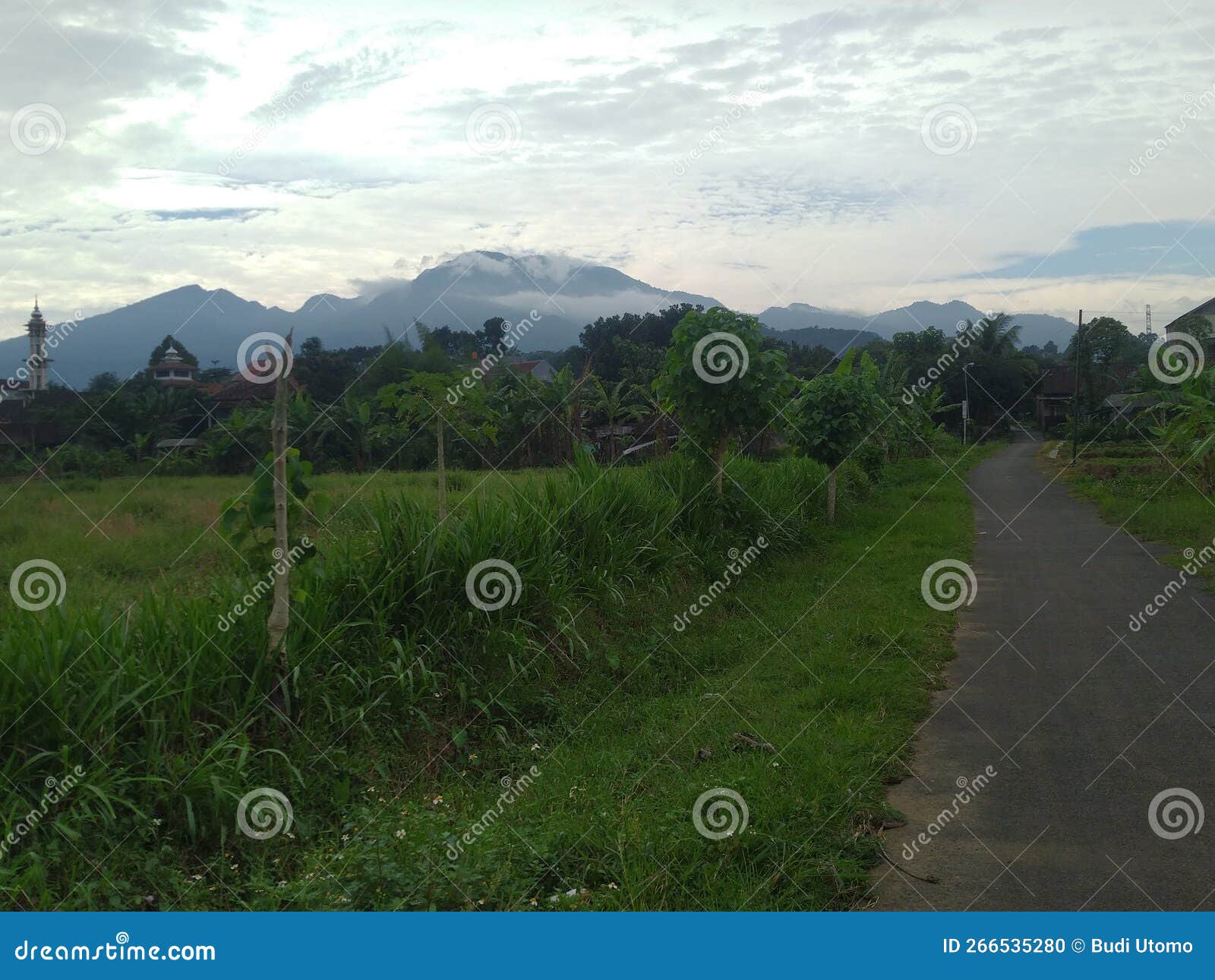 Mt. Ungaran view mountain stock photo. Image of semarang - 266535280