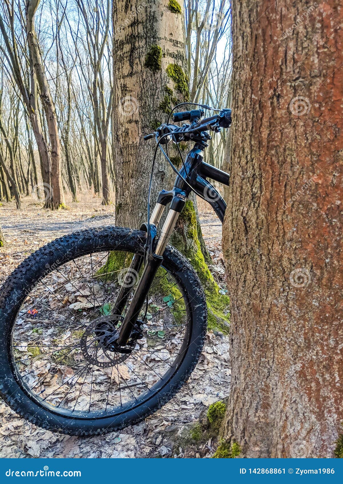MTB Bicycle on the Trail in the Spring Season Stock Image - Image of ...