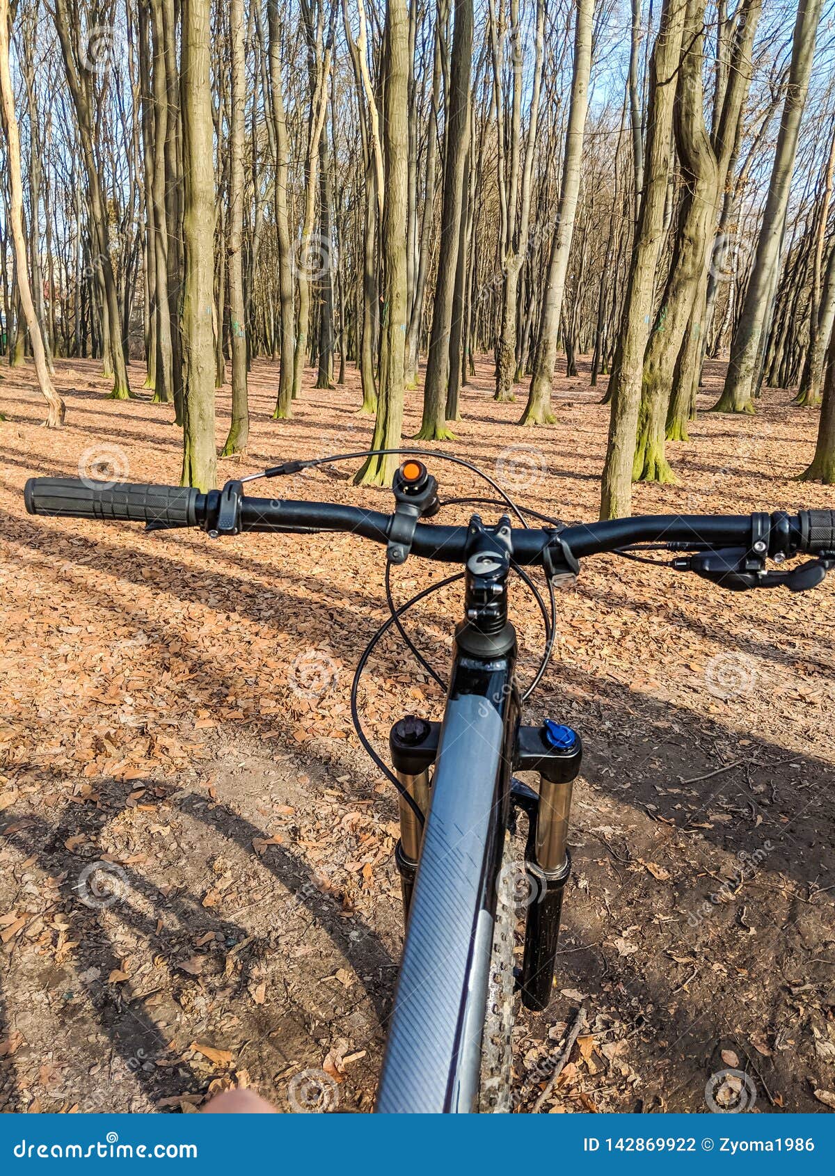 MTB Bicycle on the Trail in the Spring Season Stock Photo - Image of ...