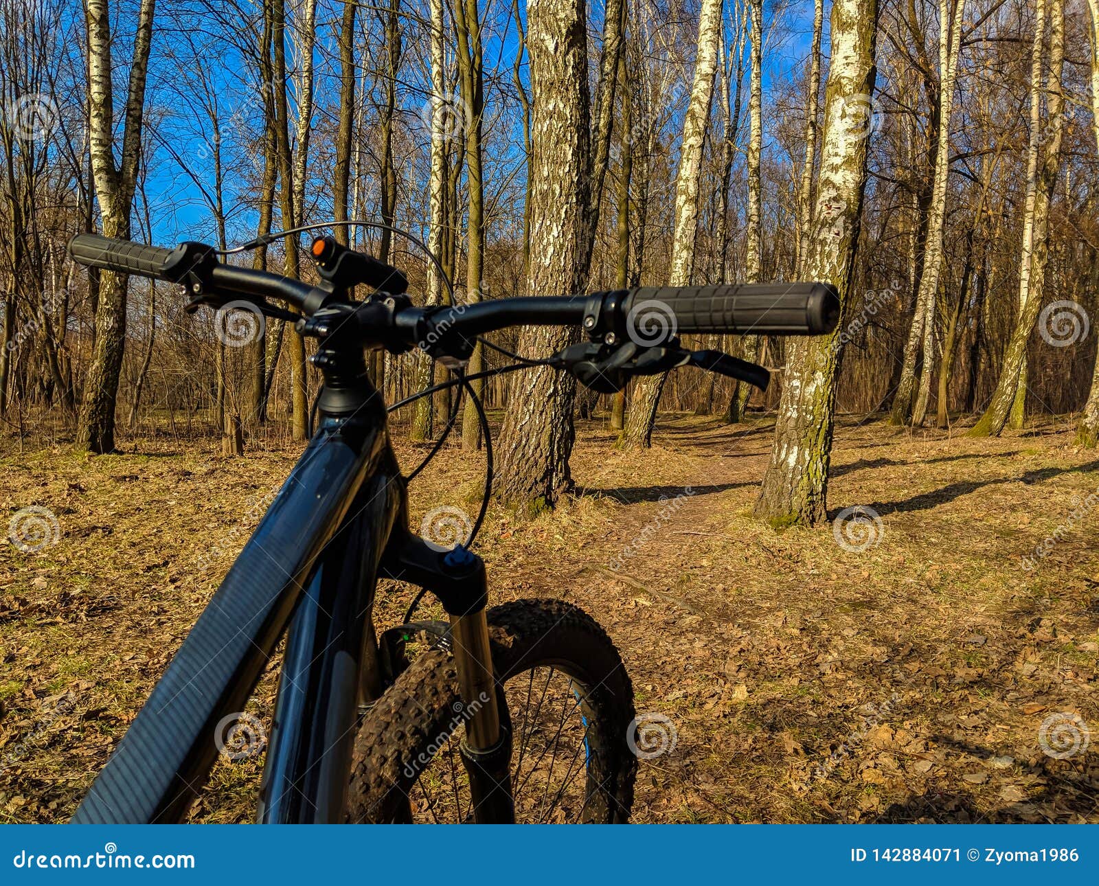 MTB Bicycle on the Trail in the Spring Season Stock Image - Image of ...