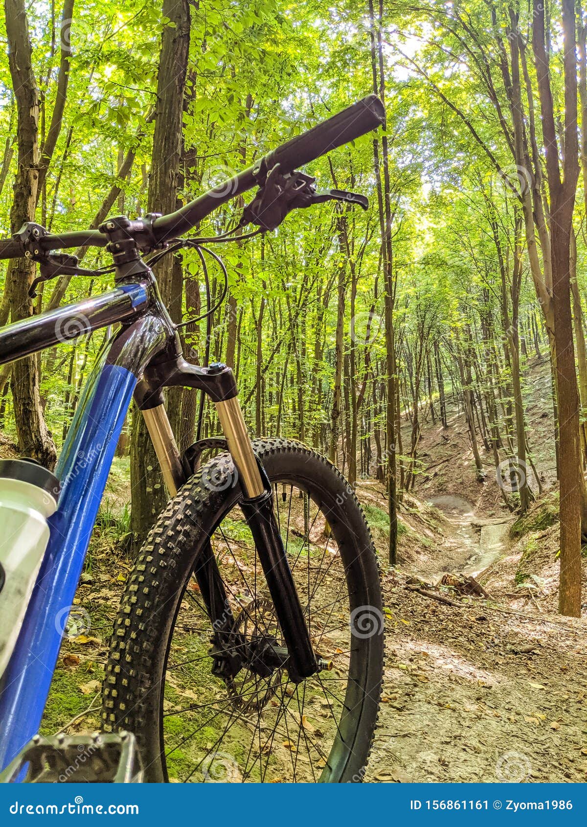 MTB Bicycle on the Trail in the Summer Season Stock Image - Image of ...