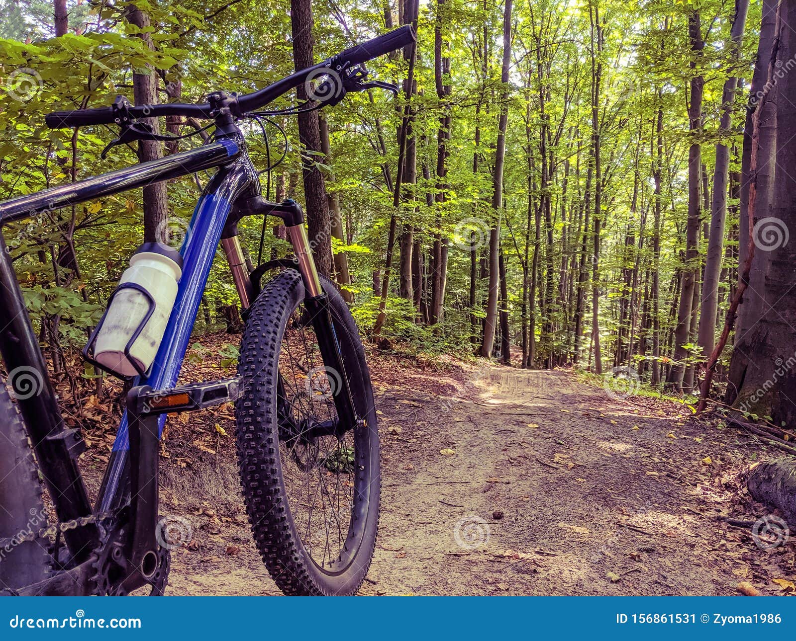 MTB Bicycle on the Trail in the Summer Season Stock Image - Image of ...