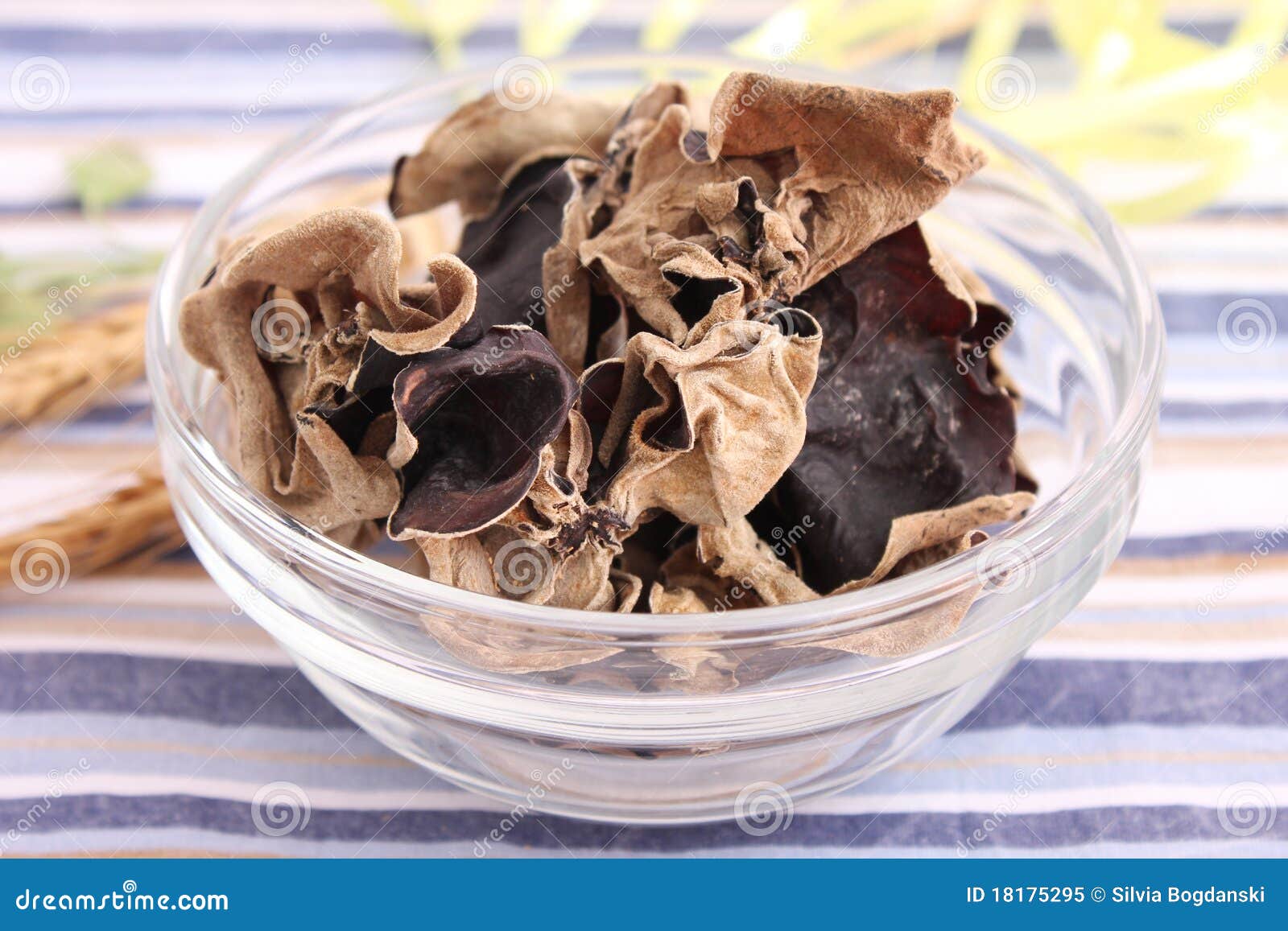 Mu-Err stock image. Image of asian, edible, mushrooms - 18175295