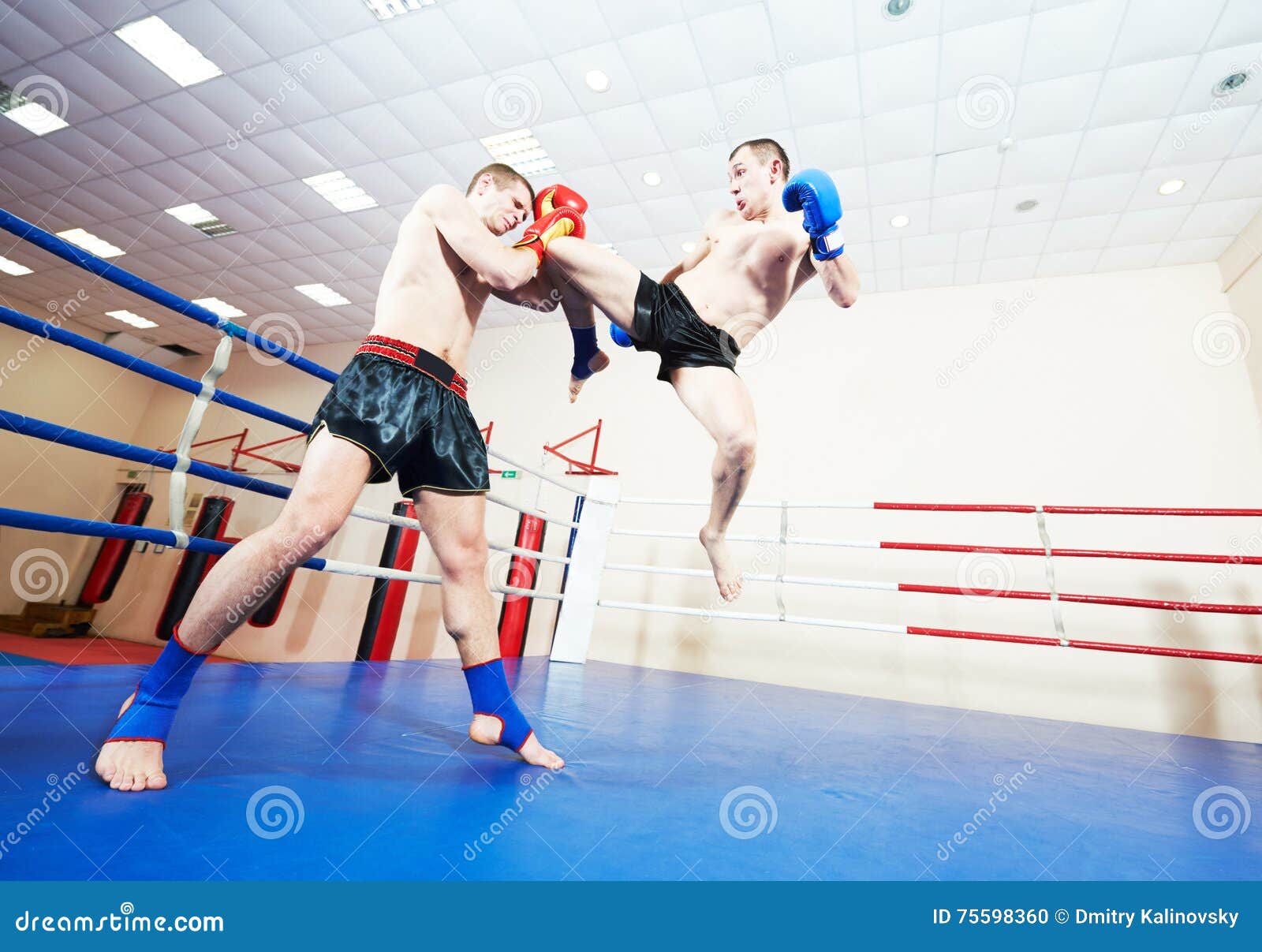Muay Thai Boxers at Training Ring Stock Photo - Image of professional ...