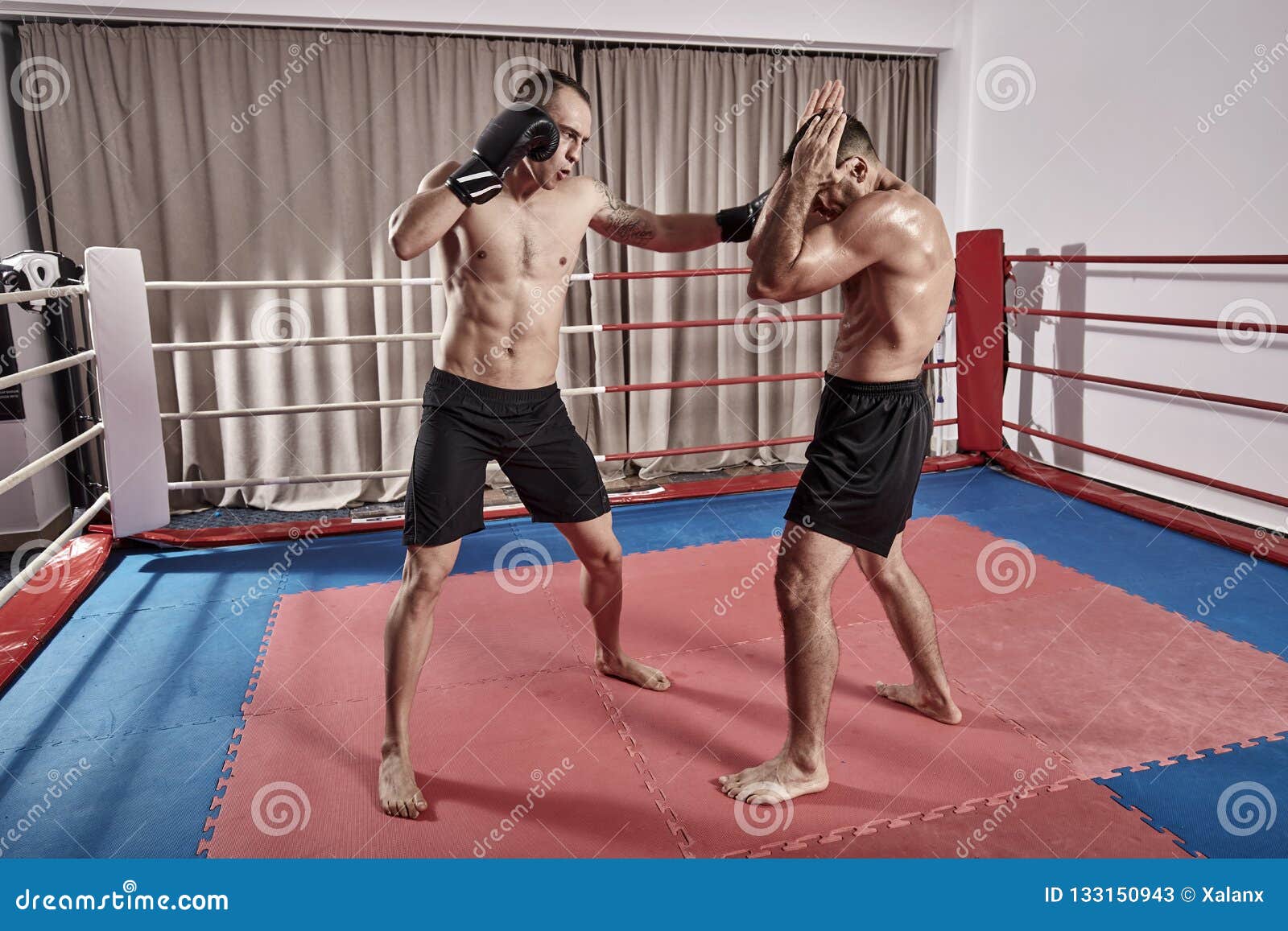 Muay Thai Fighters Sparring Stock Image - Image of contact, boxing ...
