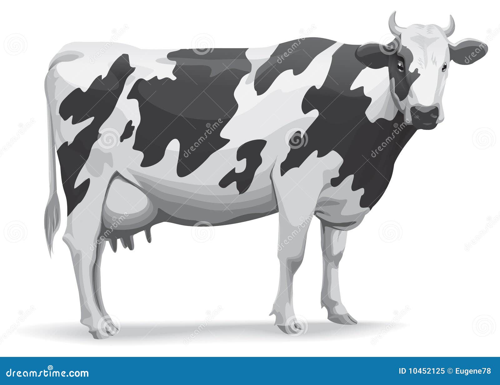 Mucca illustrazione vettoriale. Illustrazione di mucca - 10452125