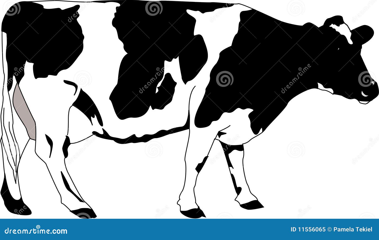 Mucca illustrazione vettoriale. Illustrazione di dissipato - 11556065