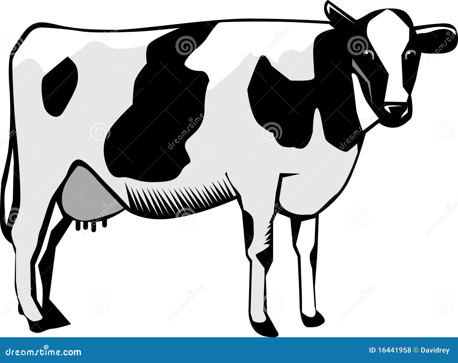 Mucca illustrazione vettoriale. Illustrazione di bovino - 16441958