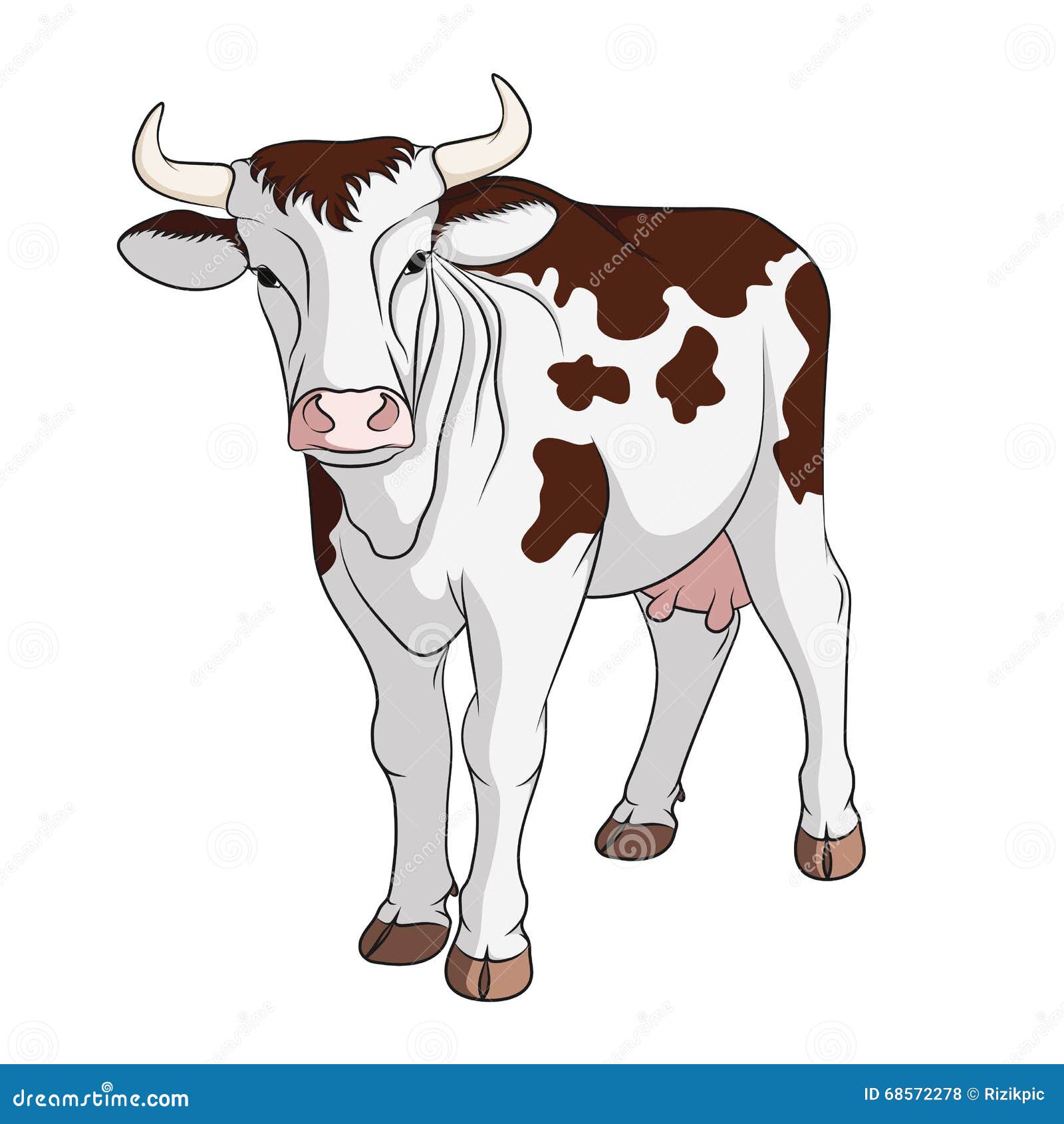 Mucca Colorata Di Vettore Isolato Illustrazione Vettoriale ...