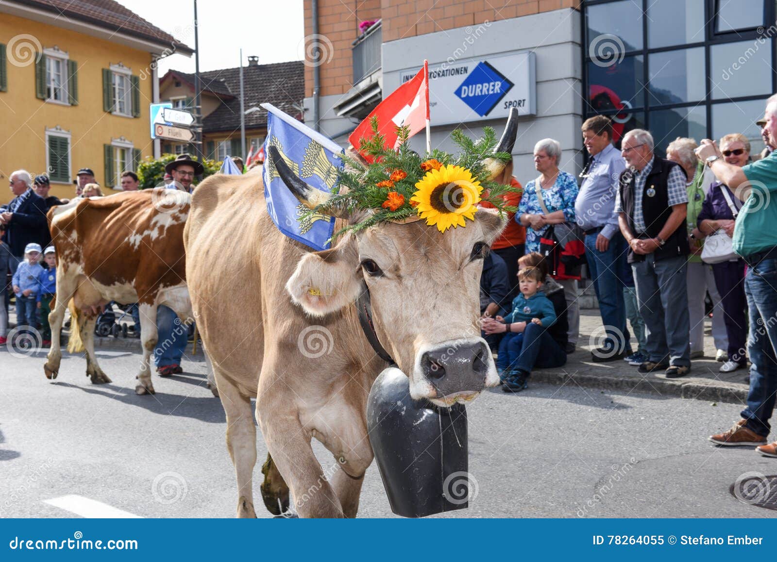 Mucca Decorata Con I Fiori E Le Bandiere Immagine Editoriale - Immagine ...