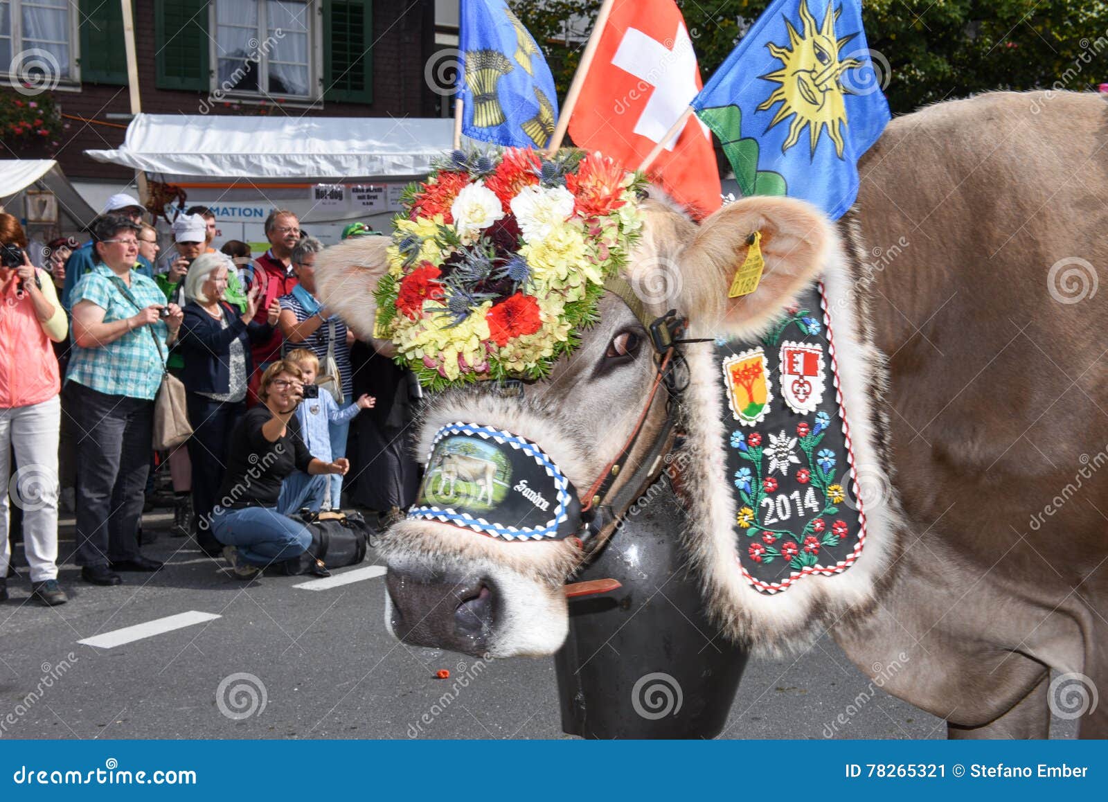 Mucca Decorata Con I Fiori E Le Bandiere Fotografia Editoriale ...
