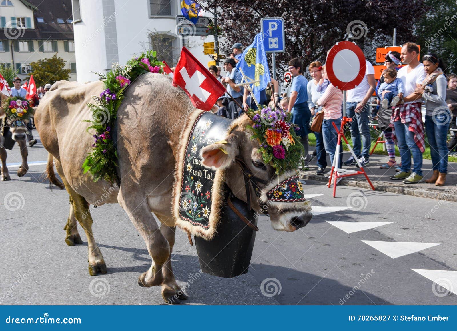 Mucca Decorata Con I Fiori E Le Bandiere Fotografia Editoriale ...