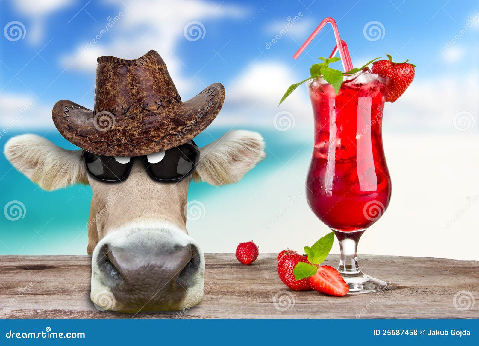 Mucca Divertente Della Spiaggia Fotografia Stock - Immagine di spiaggia ...