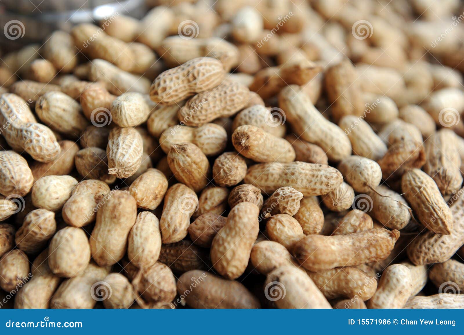 Mucchio dell'arachide fotografia stock. Immagine di mucchio - 15571986