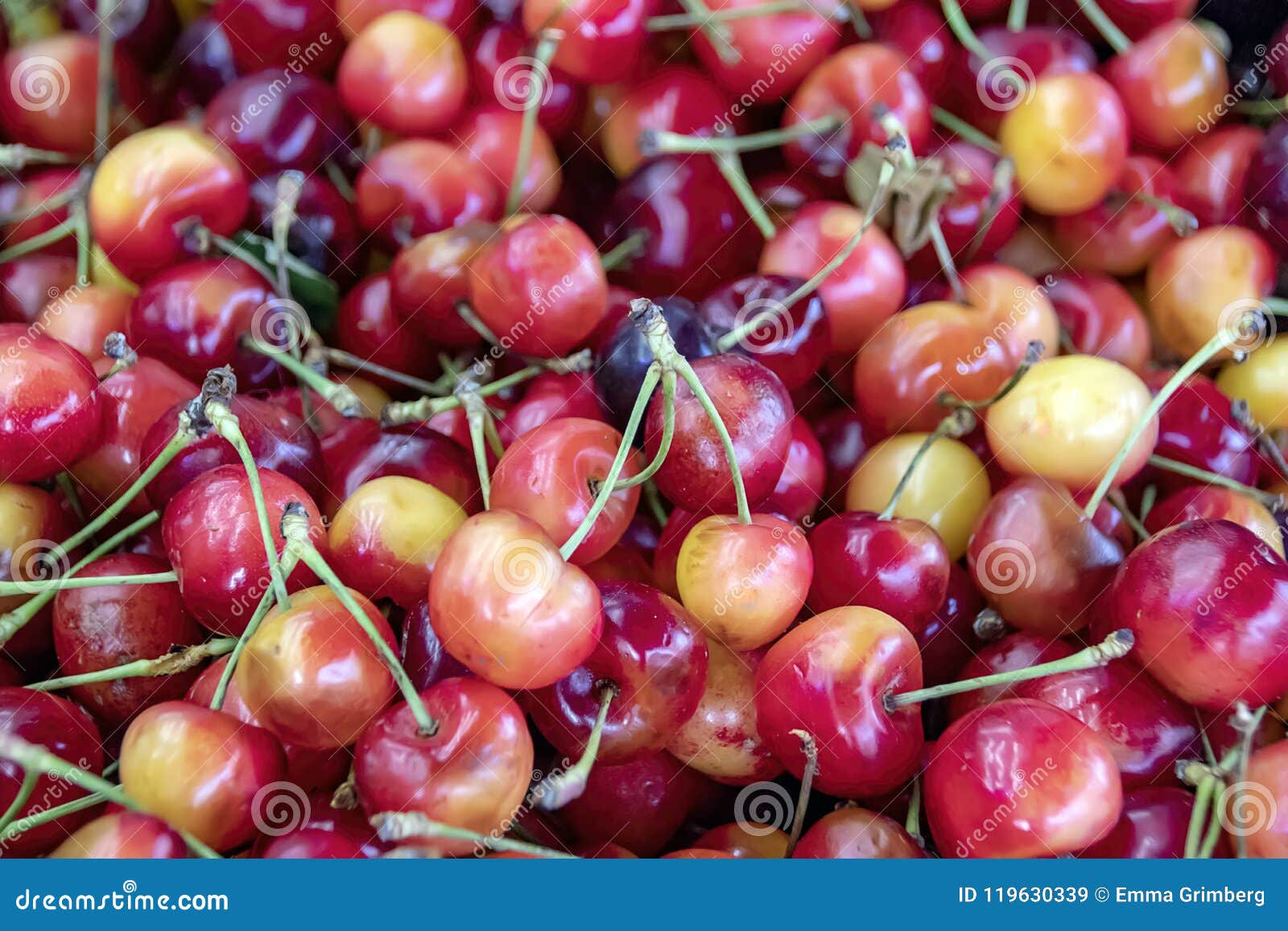 Mucchio Delle Ciliege Rosse E Gialle Mature Immagine Stock - Immagine ...