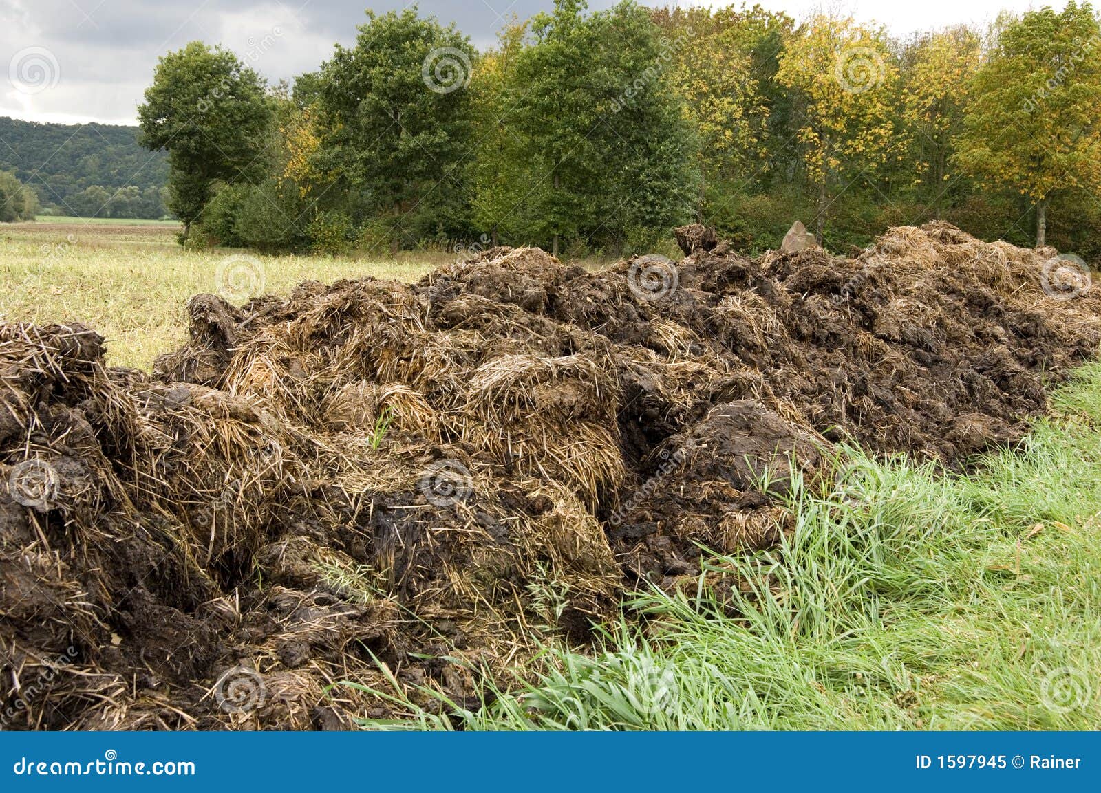 Mucchio di concime immagine stock. Immagine di agricoltura - 1597945