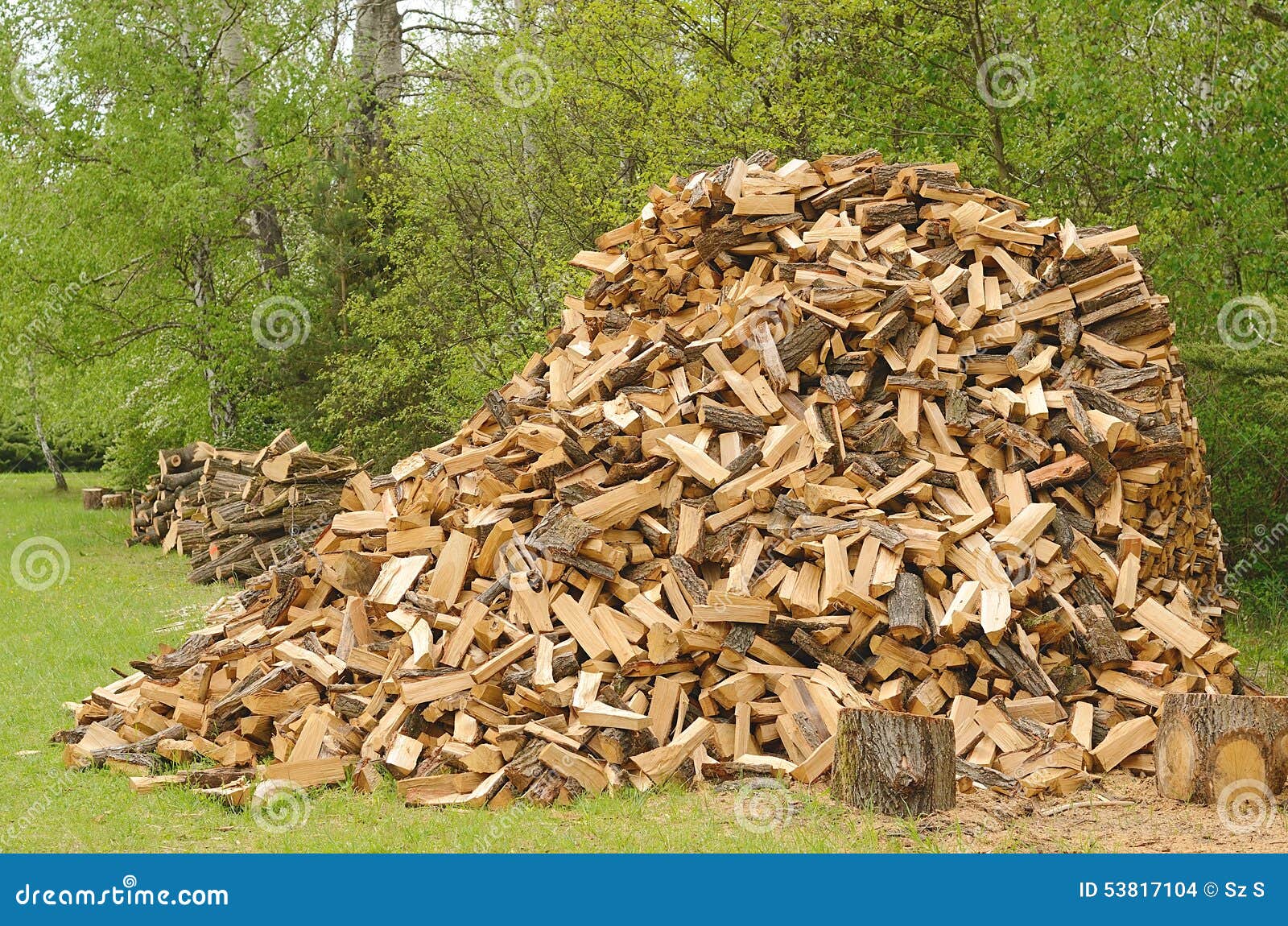 Mucchio di legna da ardere fotografia stock. Immagine di paesaggio ...