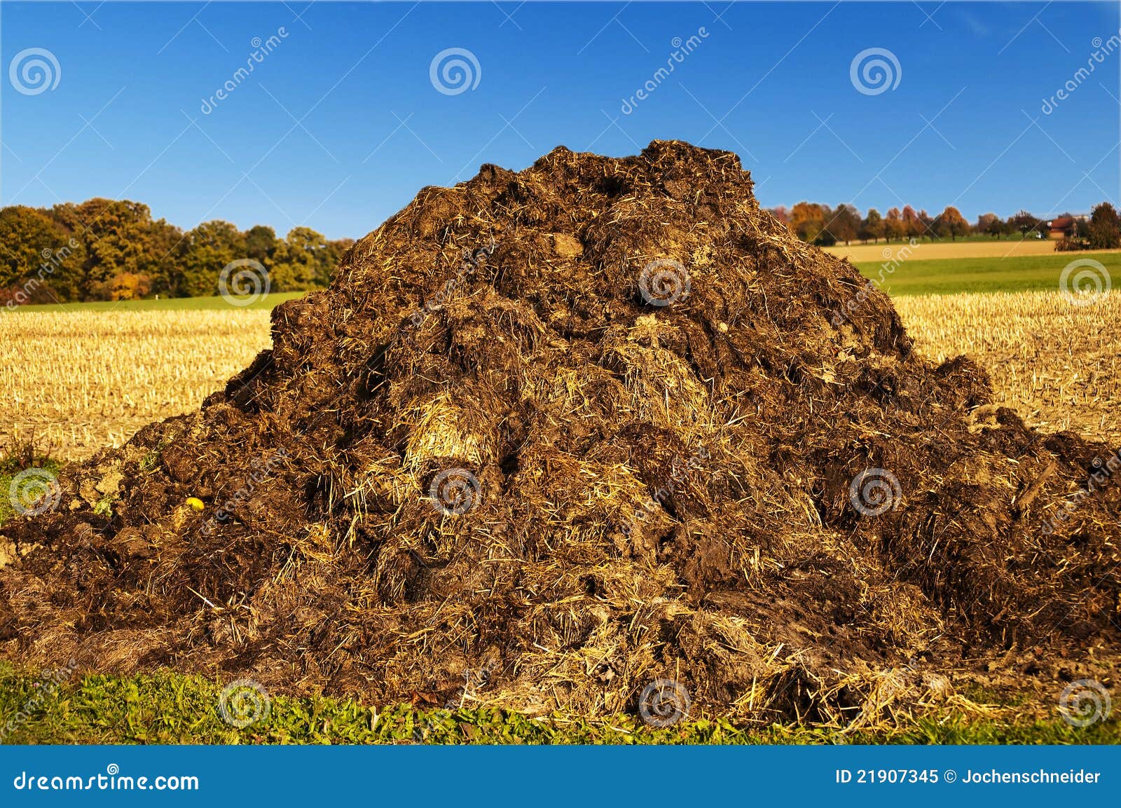 Mucchio di letame immagine stock. Immagine di acro, ambiente - 21907345