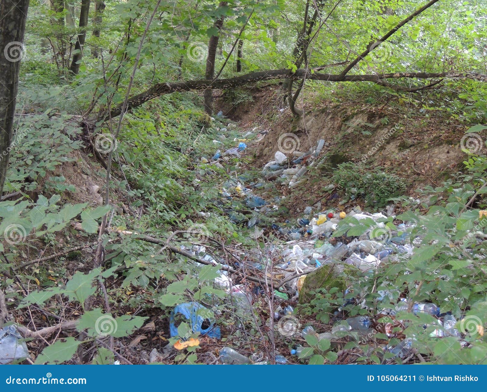 Mucha basura en el bosque imagen de archivo. Imagen de verde - 105064211