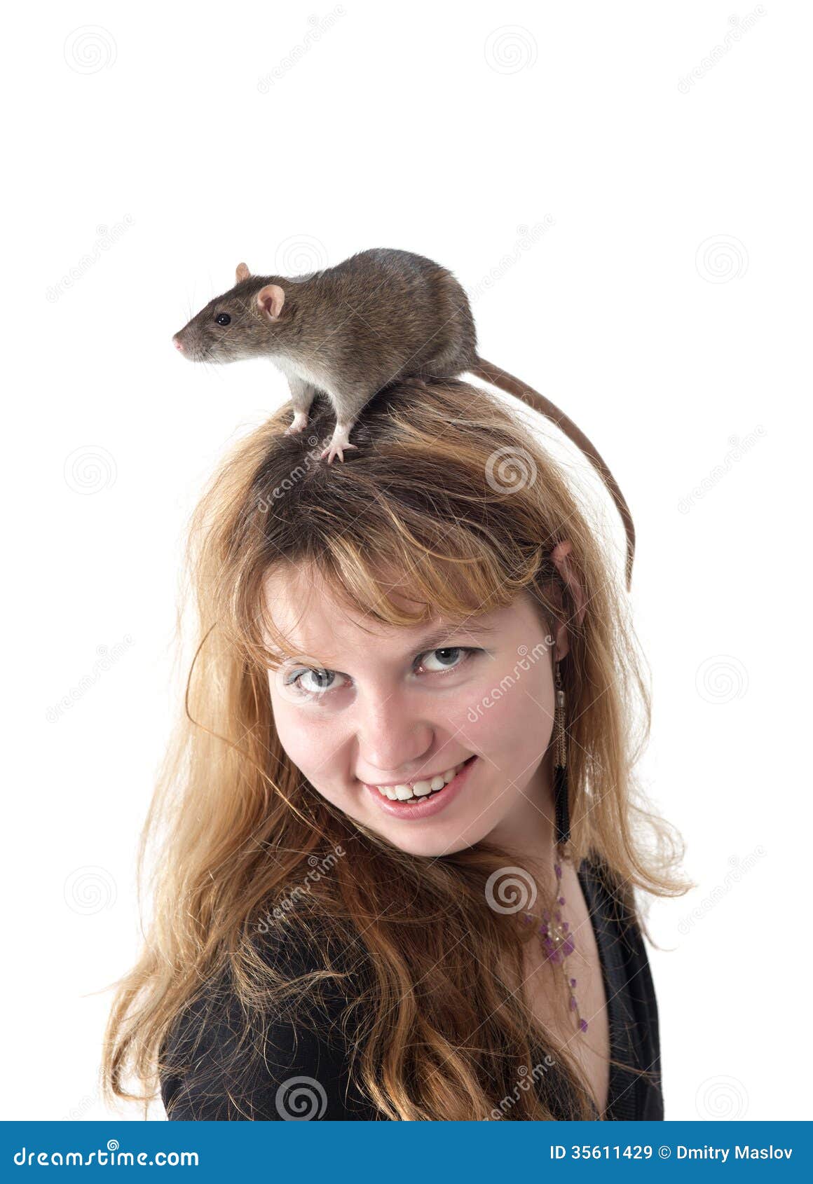 Muchacha Con Una Rata En Una Cabeza Imagen de archivo - Imagen de mujer ...