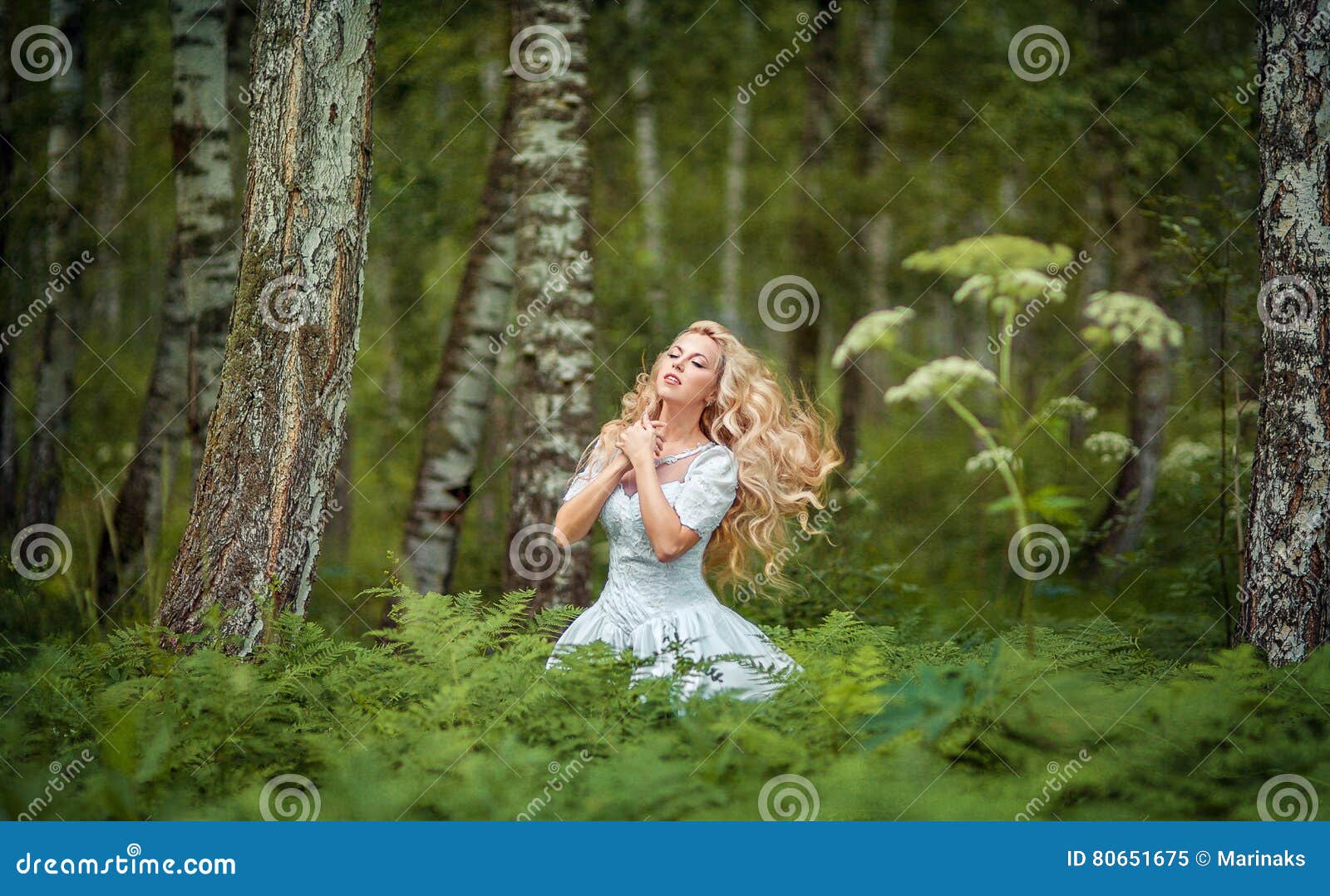 Muchacha De Hadas En Un Bosque Imagen de archivo - Imagen de alineada ...