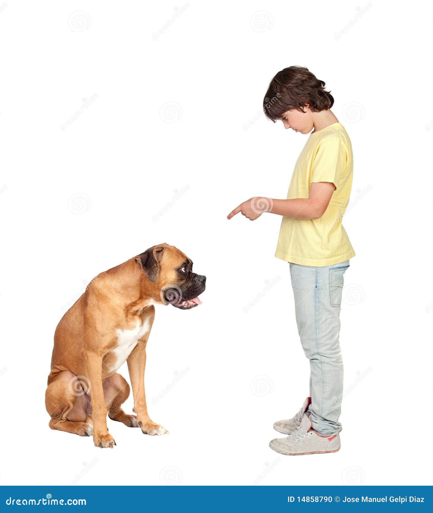 Muchacho Adorable Y Su Perro Foto de archivo - Imagen de casta ...