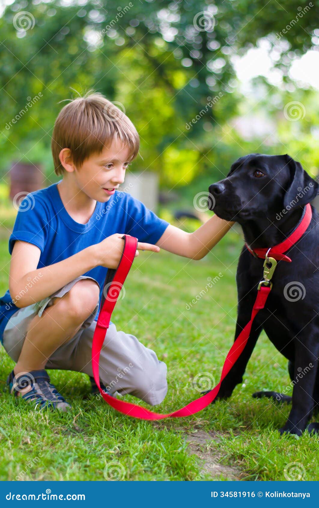 Muchacho con el perro foto de archivo. Imagen de hierba - 34581916