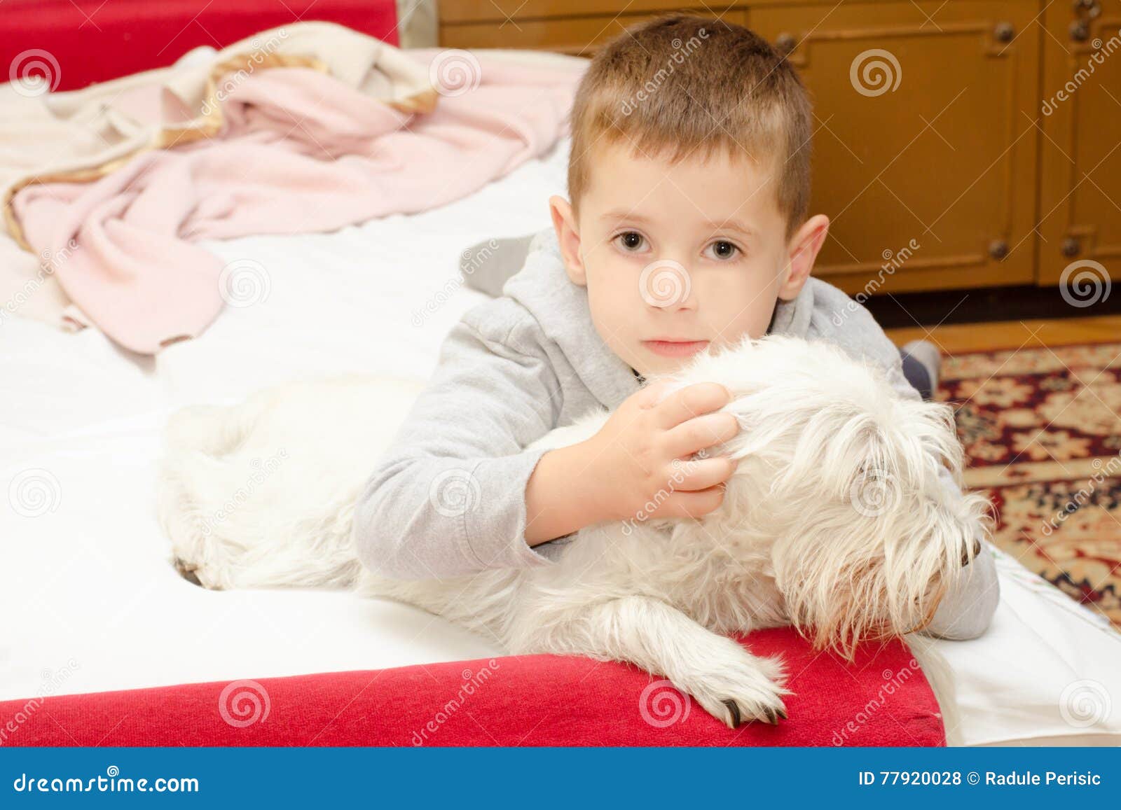 Muchacho con el perro foto de archivo. Imagen de mejor - 77920028