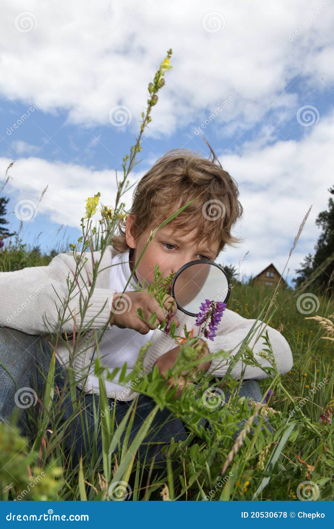 Muchacho con la lupa foto de archivo. Imagen de tenencia - 20530678