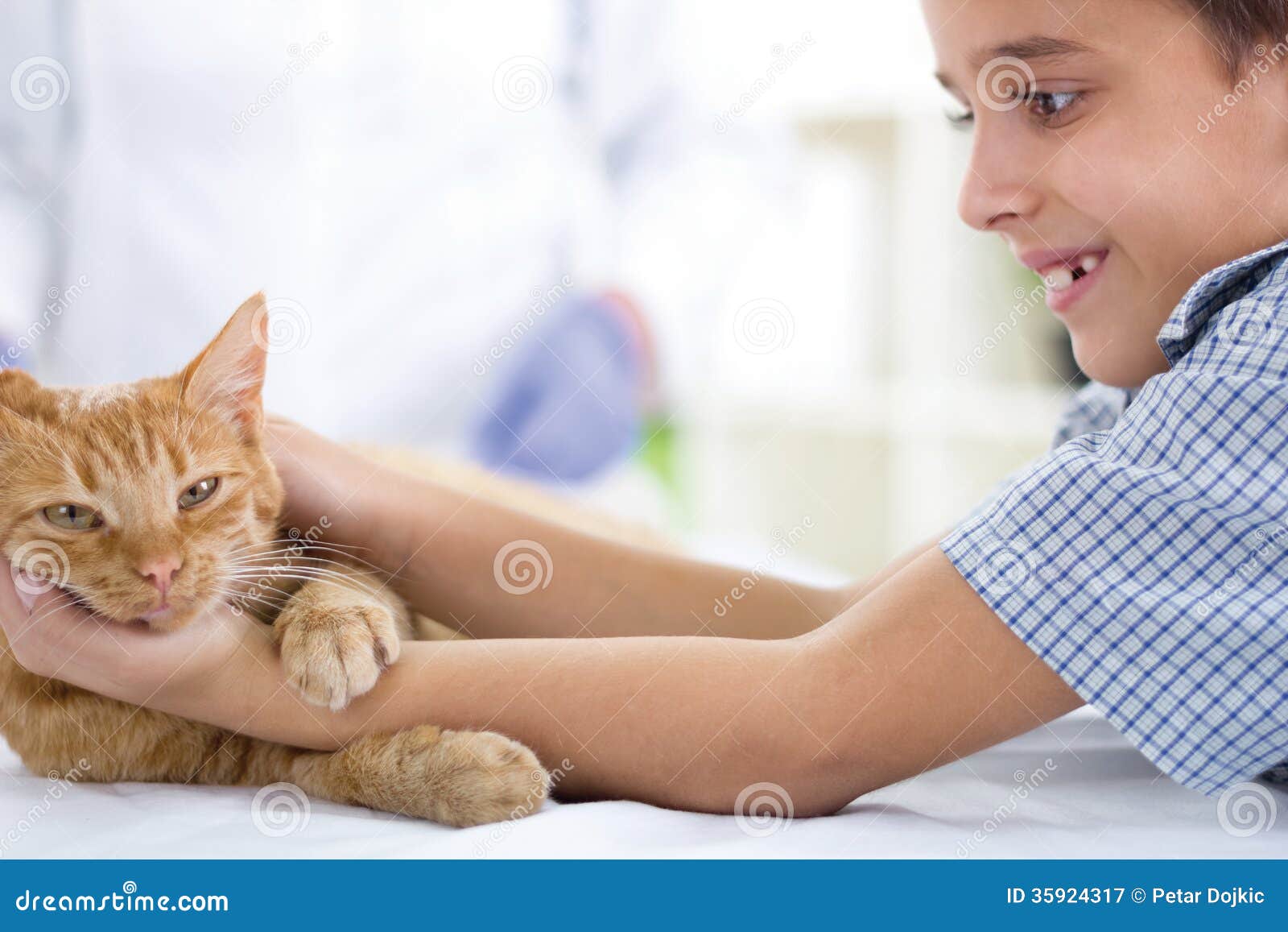 Muchacho Con Un Gato En Casa Imagen de archivo - Imagen de animal ...