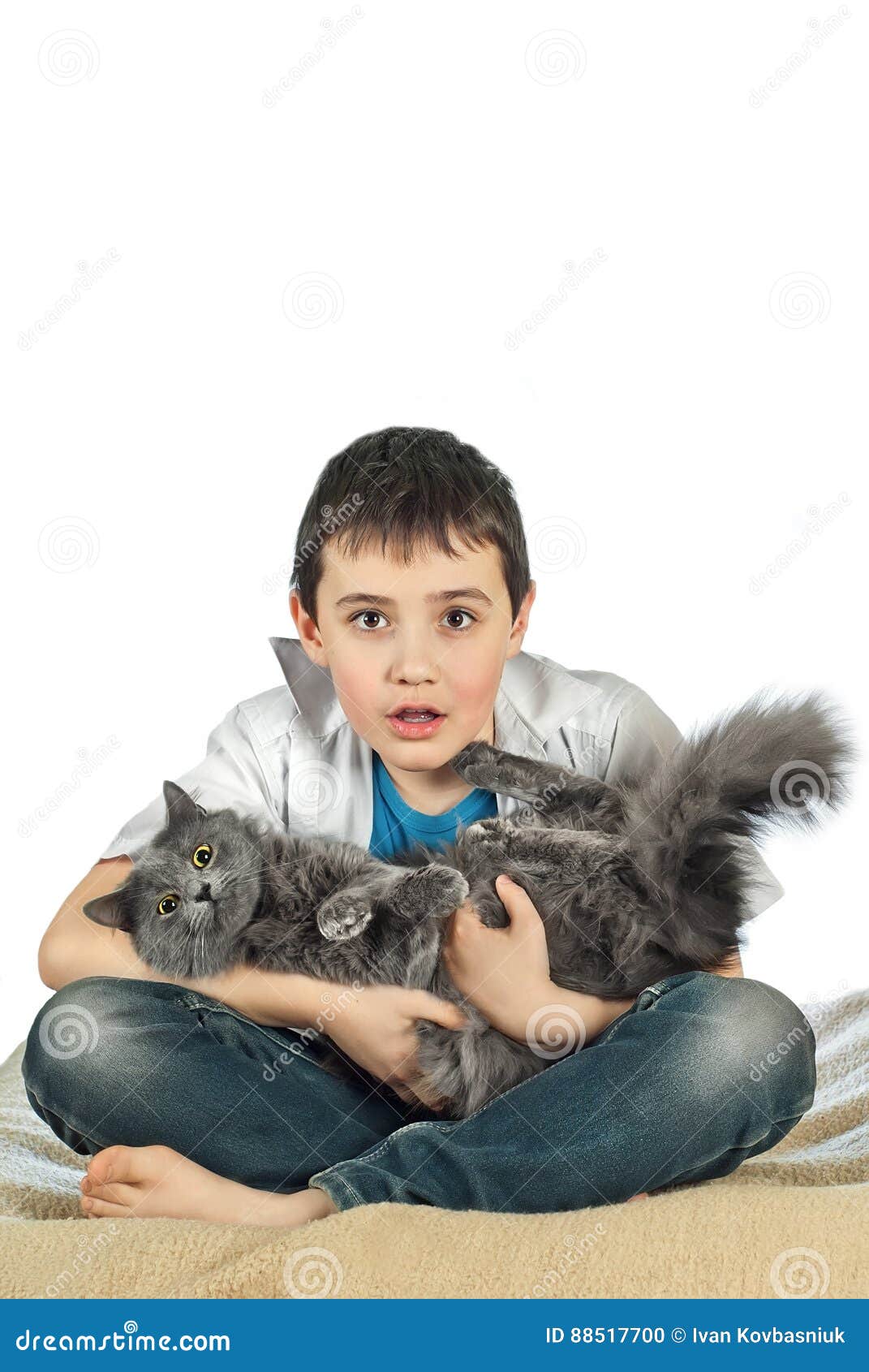 Muchacho Con Un Gato En Un Background8 Blanco Foto de archivo - Imagen ...