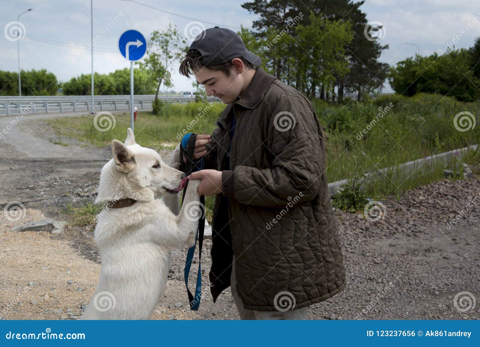Muchacho con un perro foto de archivo. Imagen de gris - 123237656